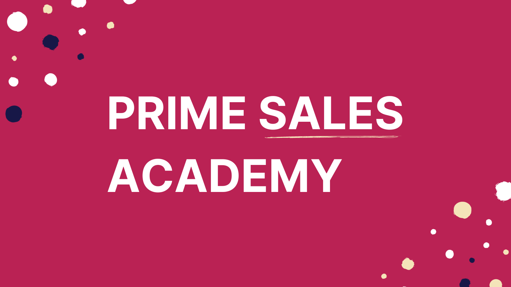 Welcome To The Prime Sales Academy